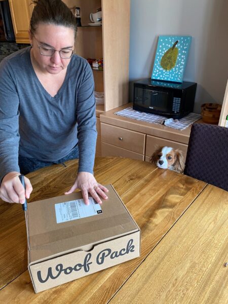 Head Tale - 10 Reasons We’ve Ended Up With The World’s Most Bougie Dog